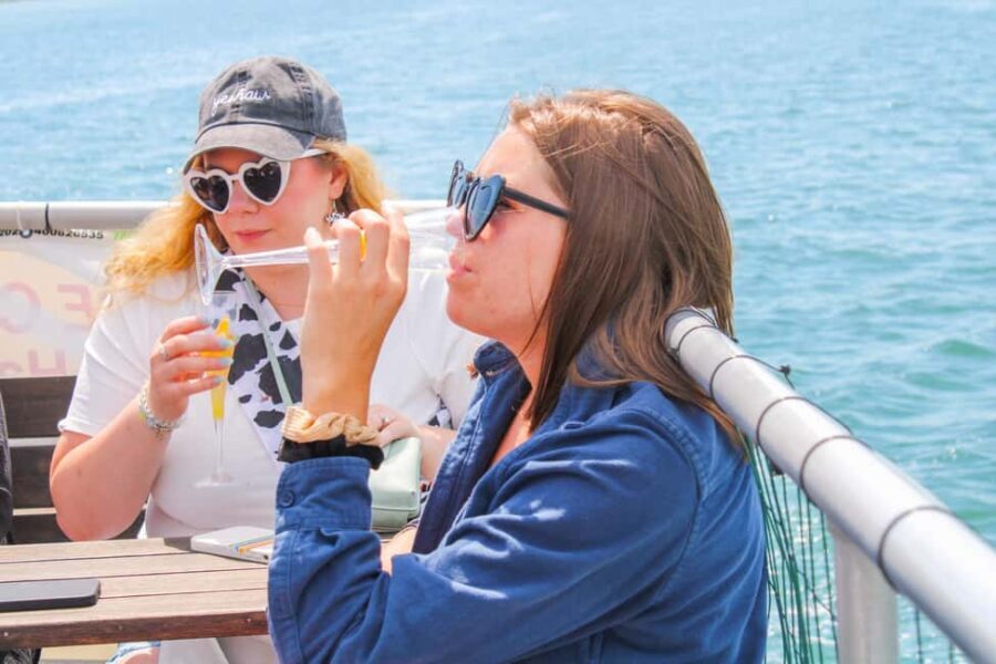 Plymouth: 2-Hour Party Cruise with Drinks and Music - The Coastal Views: Why They Matter