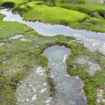 Point Loma Tide Pool Tour - Who Will Love This Tour?