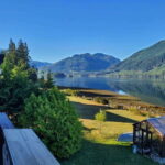Port Alice: Sea Otter and Wildlife Tour - 6 hour with lunch - The Sum Up