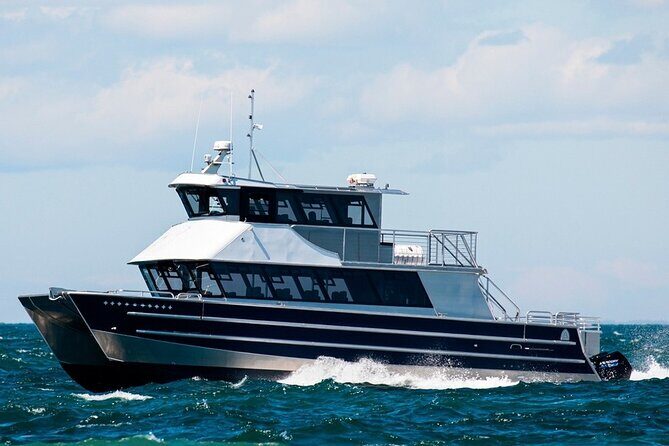 Port Townsend Wildlife Watching Cruise - Analyzing the Value