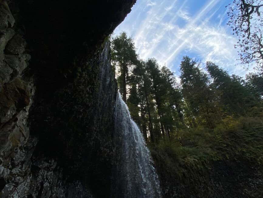 Portland: Silver Falls State Park Waterfall Hike - What Past Participants Say