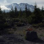 Portland: The Mt. St. Helens Adventure Tour - The Experience of a Day in the Field