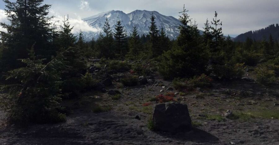 Portland: The Mt. St. Helens Adventure Tour - The Experience of a Day in the Field