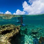 Power Snorkel By Sea Scooters & Tequila Tasting - What Could Be Better?