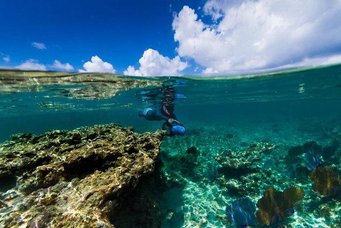 Power Snorkel By Sea Scooters & Tequila Tasting - What Could Be Better?