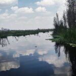 Pre-Hispanic Xochimilco and ajolotario. Private Ecotour. - The Value of This Tour