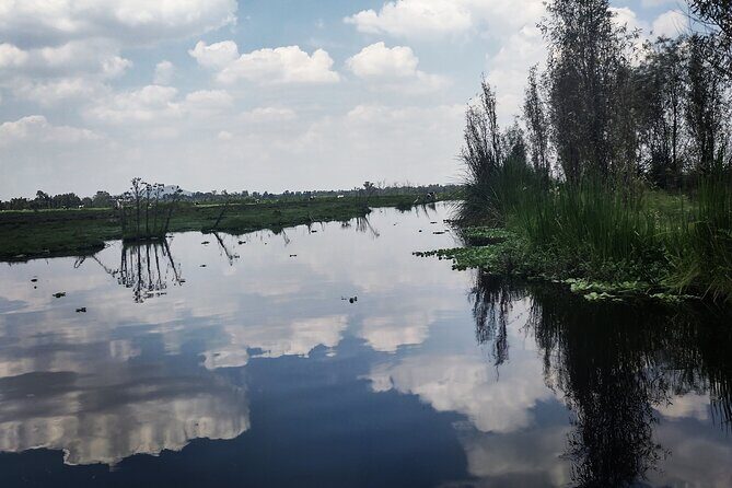 Pre-Hispanic Xochimilco and ajolotario. Private Ecotour. - The Value of This Tour