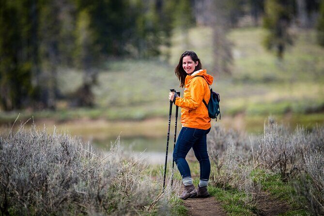 Predators of the Wild, Bear and Wolf Watching Adventure - Who Should Consider This Tour?