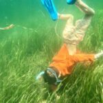 Premier Scalloping Adventure on Florida's Nature Coast - What to Consider