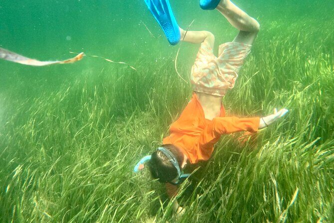 Premier Scalloping Adventure on Florida's Nature Coast - What to Consider