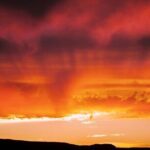 Premier Wildlife Tours in Saguaro National Park - Value & Practical Considerations