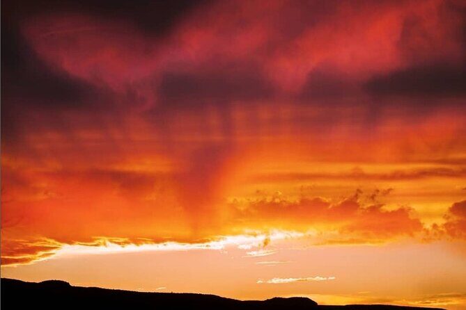 Premier Wildlife Tours in Saguaro National Park - Value & Practical Considerations