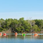 Premium Day Sail, Snorkel &, Kayak with Lunch - Lunch and Refreshments