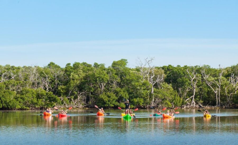 Premium Day Sail, Snorkel &, Kayak with Lunch - Lunch and Refreshments