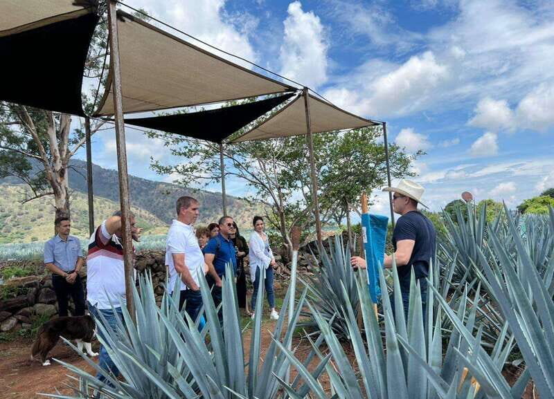 Premium Tequila Route with professional tasting - What Makes This Tour Stand Out?