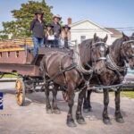 Prince Edward Island: Horse-Drawn Carriage Tour - An Authentic Ride through Charlottetown