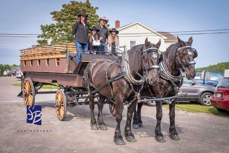Prince Edward Island: Horse-Drawn Carriage Tour - An Authentic Ride through Charlottetown