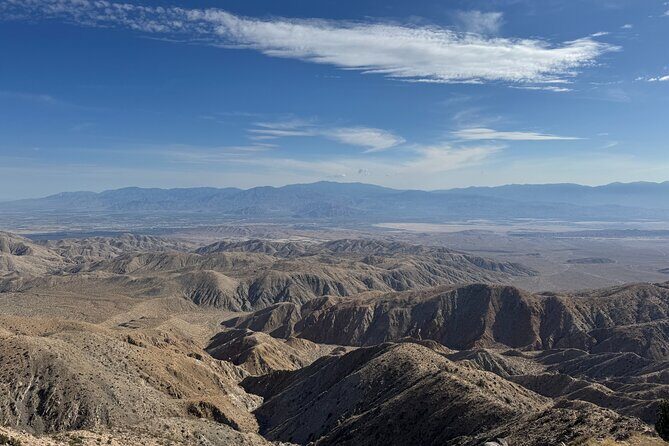 Private 1 Day Tour to Joshua Tree National Park - Why This Tour Works for Travelers
