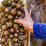 Private 4 hour Hiking Adventure + Breakfast in Nogalito Ecopark - What to Expect from Your Nogalito Ecopark Adventure