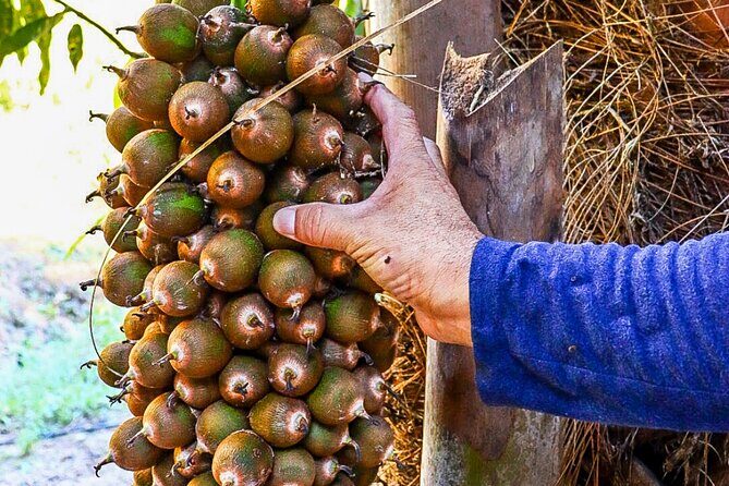Private 4 hour Hiking Adventure + Breakfast in Nogalito Ecopark - What to Expect from Your Nogalito Ecopark Adventure