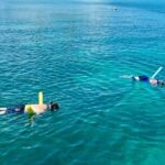 Private 6-person Sandbar & Snorkeling Charter - Everything You Need to Know About the Itinerary