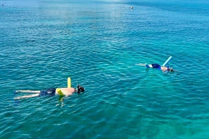 Private 6-person Sandbar & Snorkeling Charter - Everything You Need to Know About the Itinerary