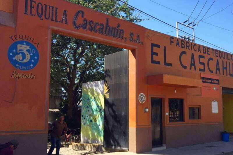 Private Adventure to Tequila and el Cascahuin Distillery - Who Should Consider This Tour?