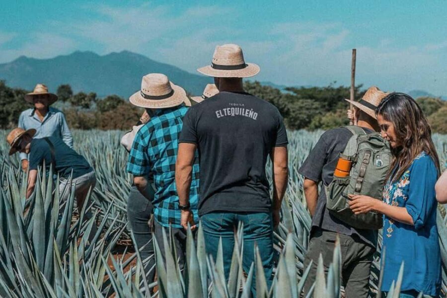 Private Adventure to Tequila and Tequila El Tequileño - Who Will Love This Tour?