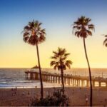 Private Airport Transfer from LAX to Your Hotel - What Makes This Transfer Stand Out?