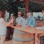 Private and custom group Wine tour Valle de Guadalupe - Why This Tour Is Worth It