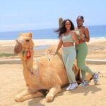 Private ATV and Camel Ride on a White Sand Beach - The Sum Up