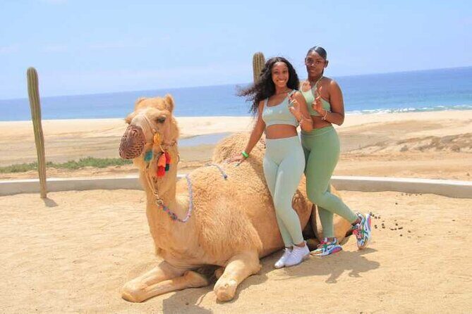 Private ATV and Camel Ride on a White Sand Beach - The Sum Up
