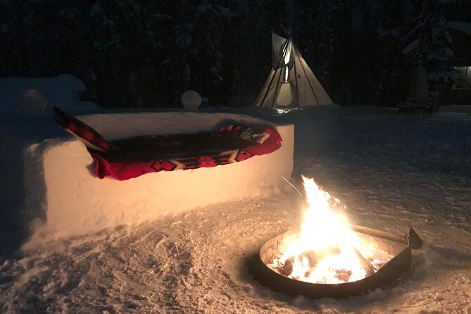 Private Aurora Viewing Experience - The Value of This Tour