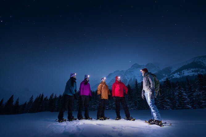 Private Banff and Canmore Stargazing Tour with VIP Pickup - What Makes This Tour Stand Out?