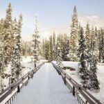 Private Banff and Yoho National Park Tour with Moraine Lake - Why This Tour Offers Great Value for the Price