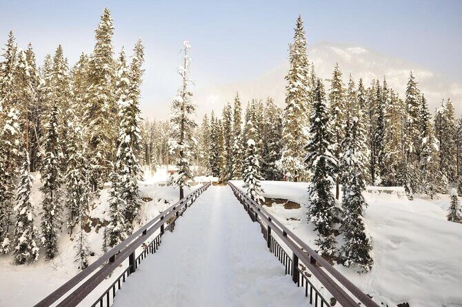 Private Banff and Yoho National Park Tour with Moraine Lake - Why This Tour Offers Great Value for the Price