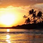 Private Beach or Sunset Boat Tour In Naples Florida - Why This Tour Works Well