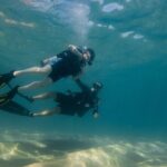Private Beginner Scuba Diving Experience in Cabo San Lucas - Why It’s a Great Value
