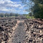 Private Big Island: History & Local Market Tour (Up to 12) - What Makes This Tour Stand Out