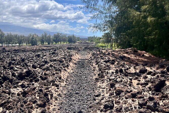 Private Big Island: History & Local Market Tour (Up to 12) - What Makes This Tour Stand Out