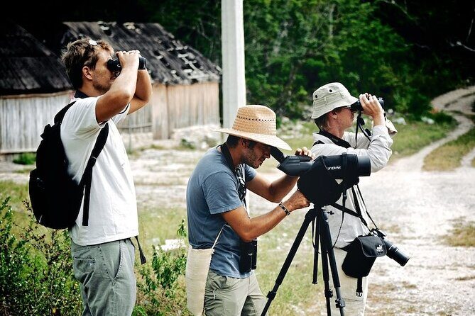 Private Birdwatching Tour in Sian Ka'an Muyil - The Sum Up