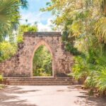 Private Birdwatching Tour with a Guide in Cozumel - Who Will Love This Tour?