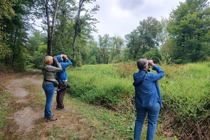 Private Birdwatching Walking Activity in Hendersonville - Why This Tour Stands Out