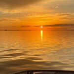 Private Boat and Dolphin Watching in Florida - The Wildlife and Scenery