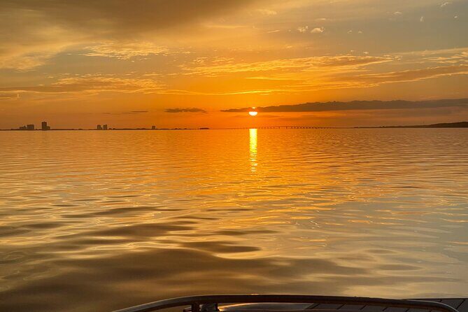 Private Boat and Dolphin Watching in Florida - The Wildlife and Scenery