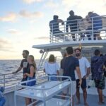 Private Boat Charter in Waikiki for Snorkeling and Events - Analyzing the Value