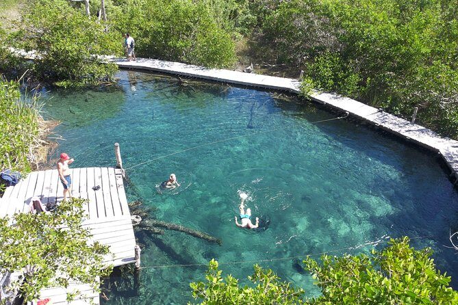 Private Boat to visit Holbox surroundings (3-Island Tour) - The Practical Side: Transportation, Duration, and Customization