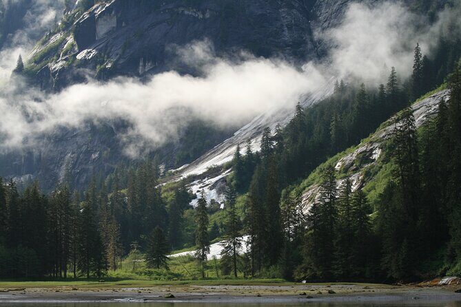 Private Boat Tour of Misty Fjords from Ketchikan - The Experience: Comfort, Flexibility, and Personalized Attention