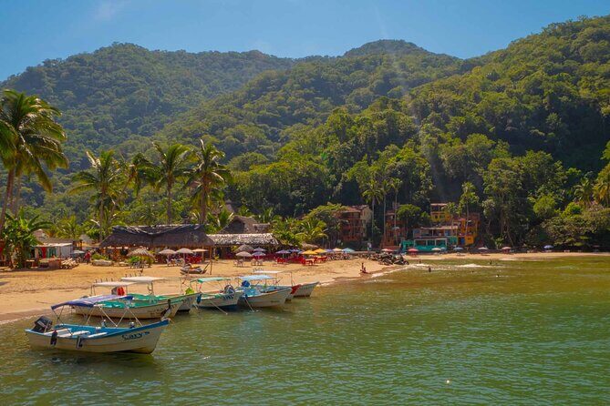 Private Boat Tour to Yelapa with Snorkeling and Waterfall Hike - What Travelers Say