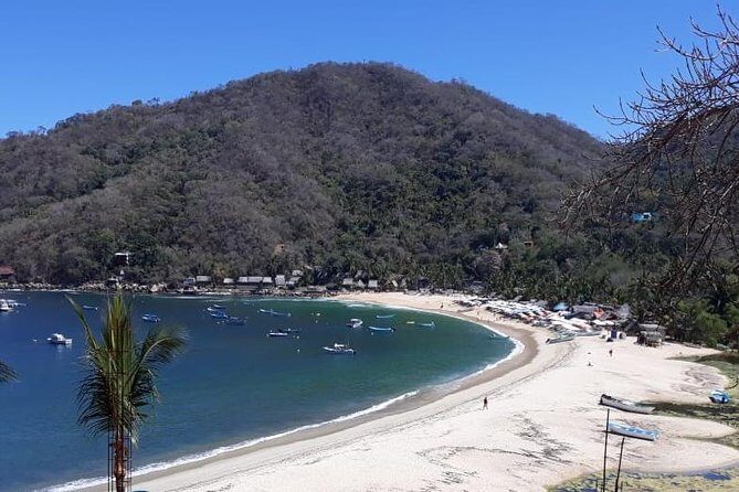 Private Boat Tour to Yelapa - What the Reviews Say